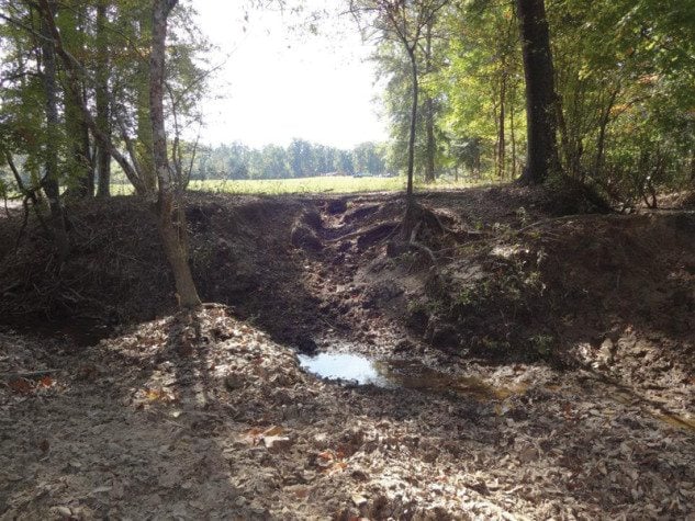 The Mysterious Death of Alfred Wright: Jasper's New Fight for Justice