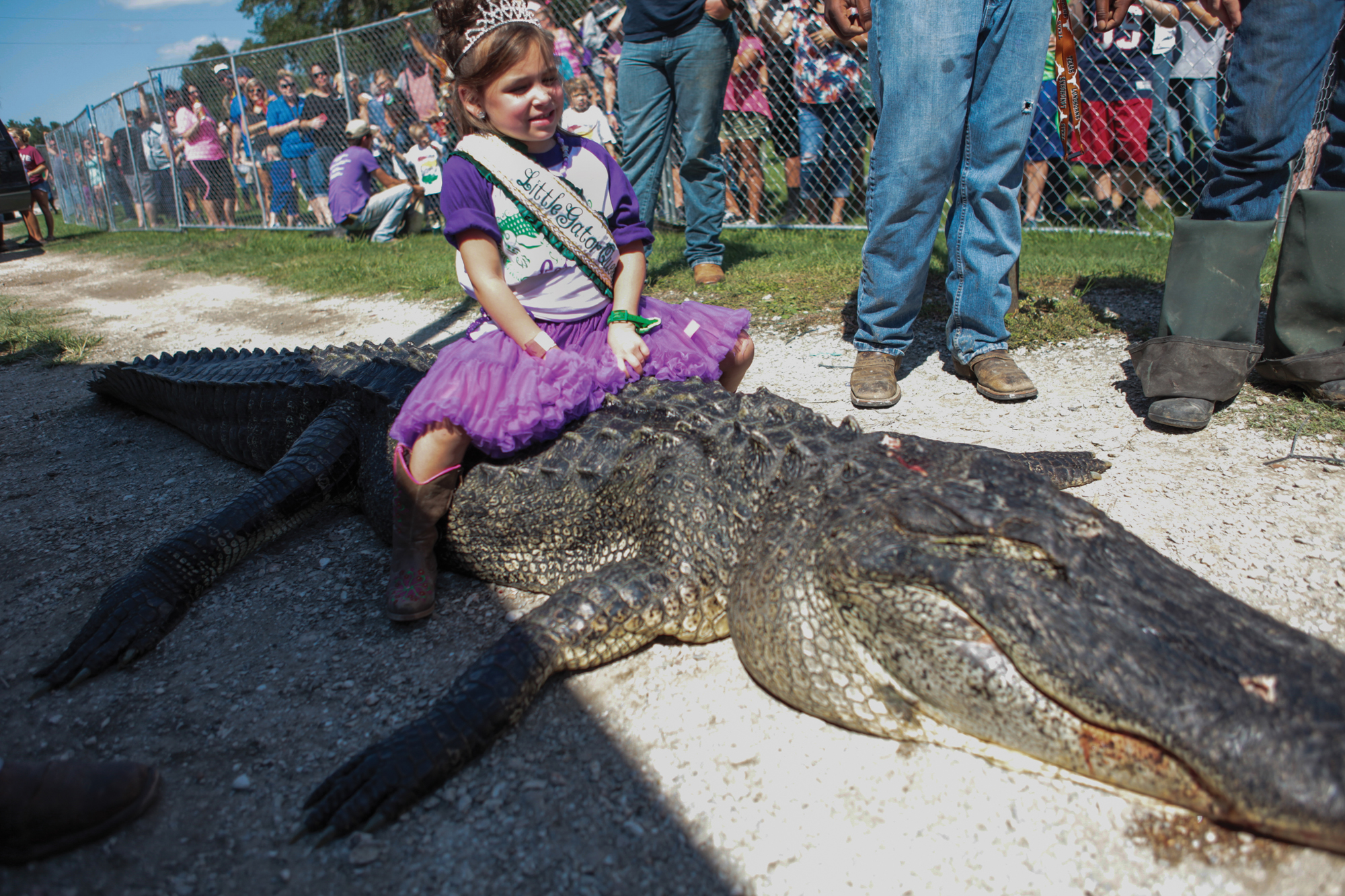 Has Gatorfest Gone Wild?