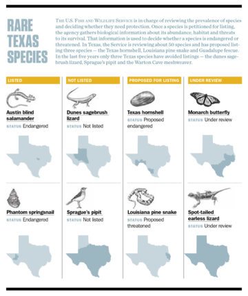 Endangered Science: Is Texas Rigging the Process to Keep Species off ...