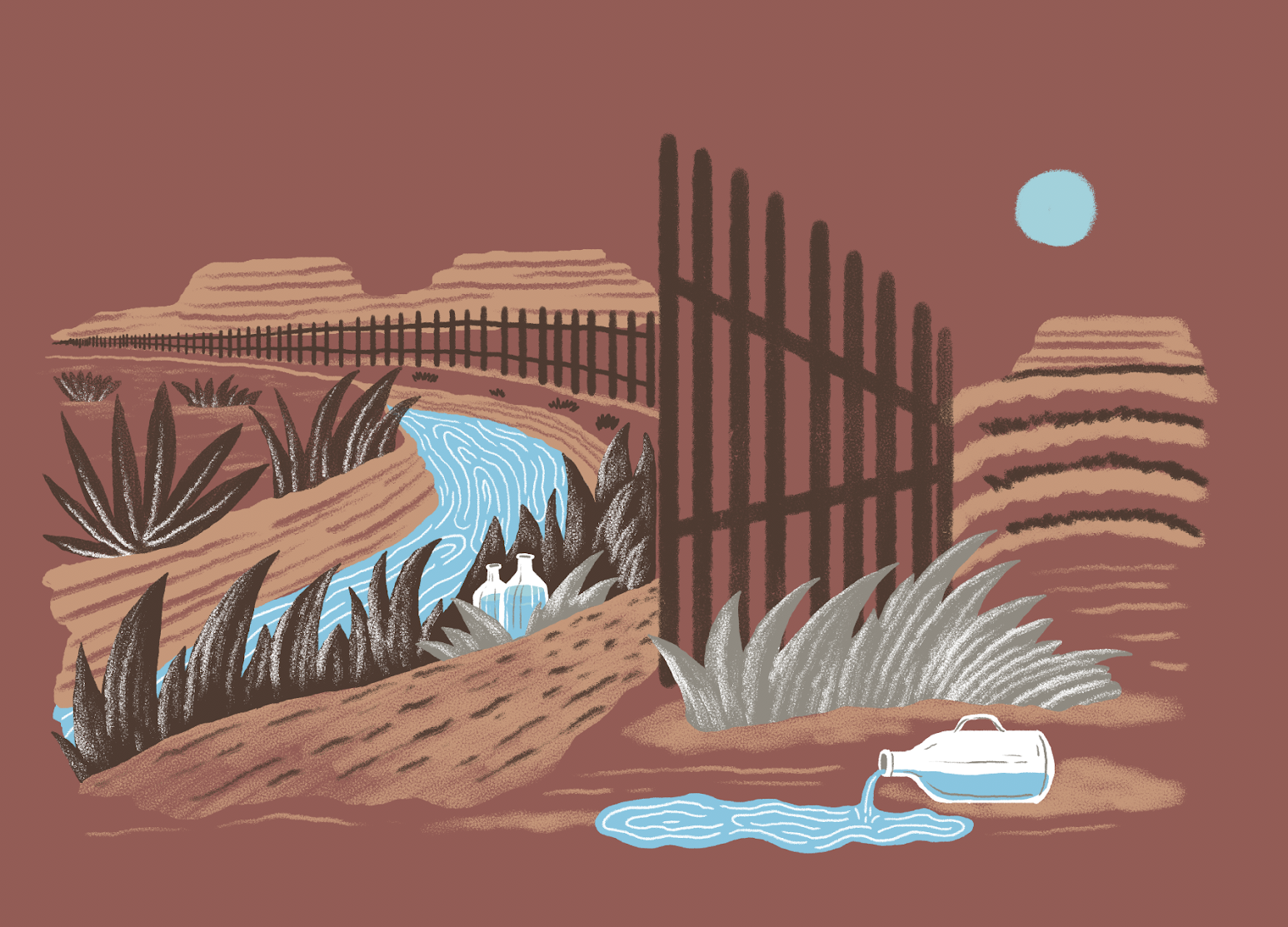 Shallow Waters - The Texas Observer