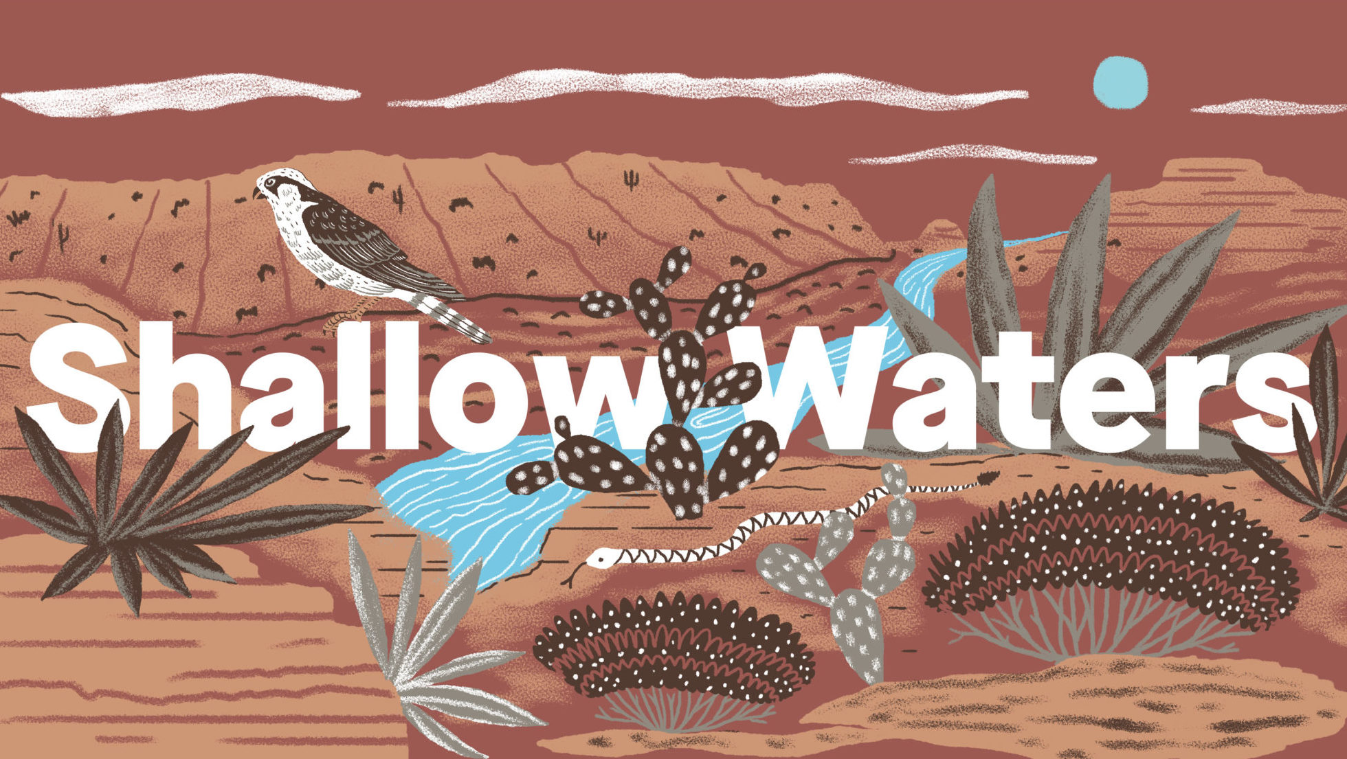 Shallow Waters - The Texas Observer