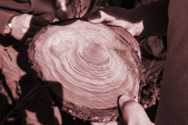 The Next Megadrought in the American Southwest May Be Right Around the ...