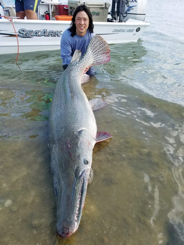 In Texas, One of the World's Oldest, Weirdest Fish Finally Gets Its Due