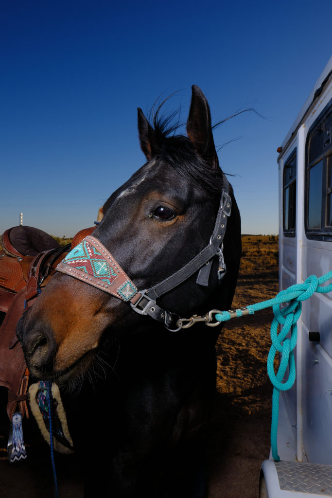 A Look at the Female-Dominated Sport of Barrel Racing