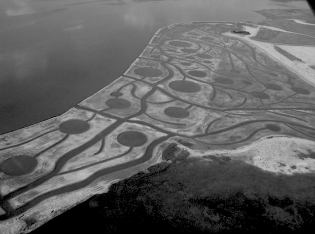 A Superthreat to the Gulf Coast’s Lavaca Bay - The Texas Observer