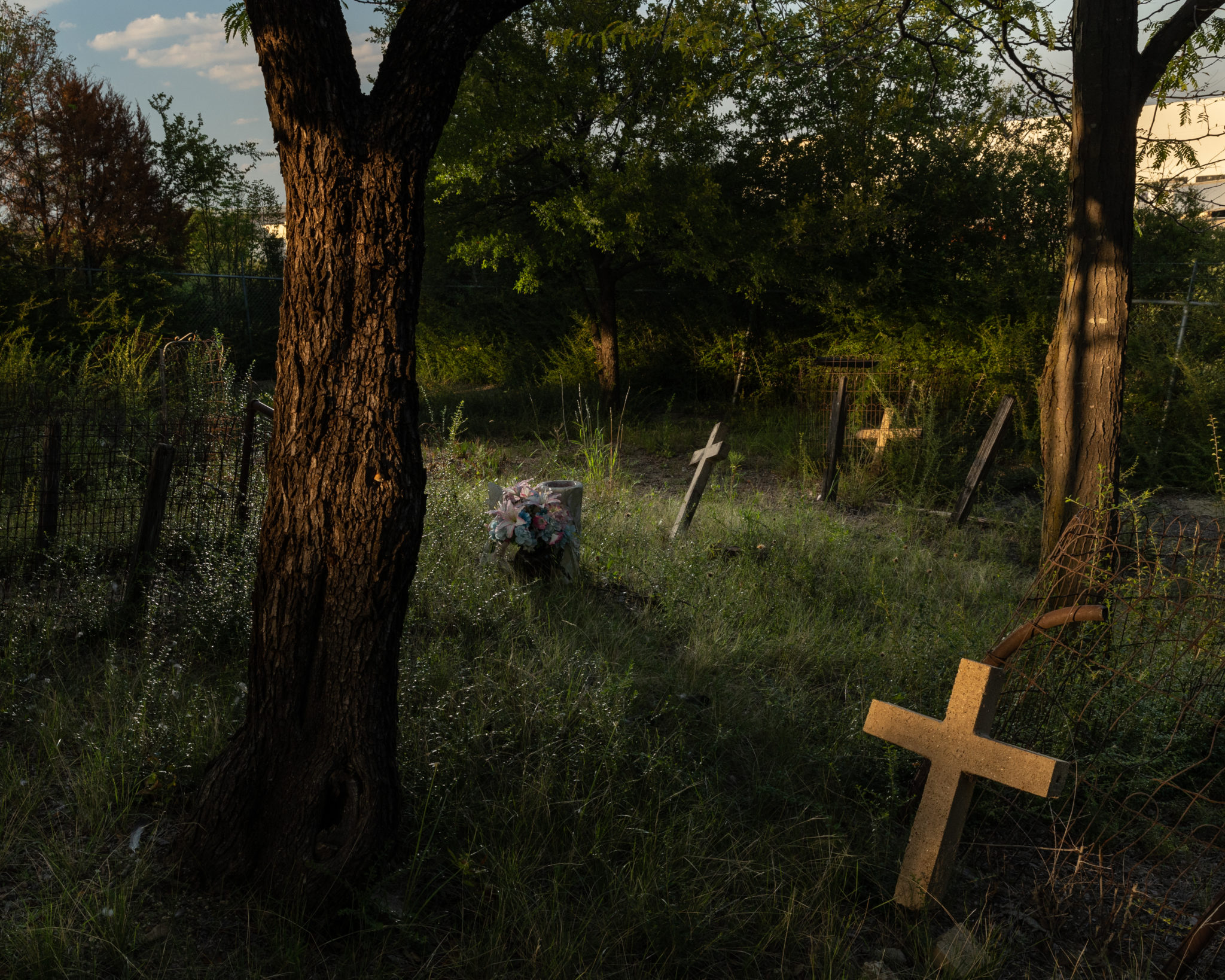 The Flowers of Campo Santo - The Texas Observer