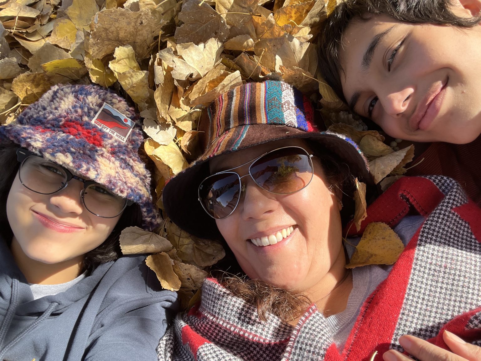 Pawns in the Voucher Scheme: Arizona's Privatization Playbook