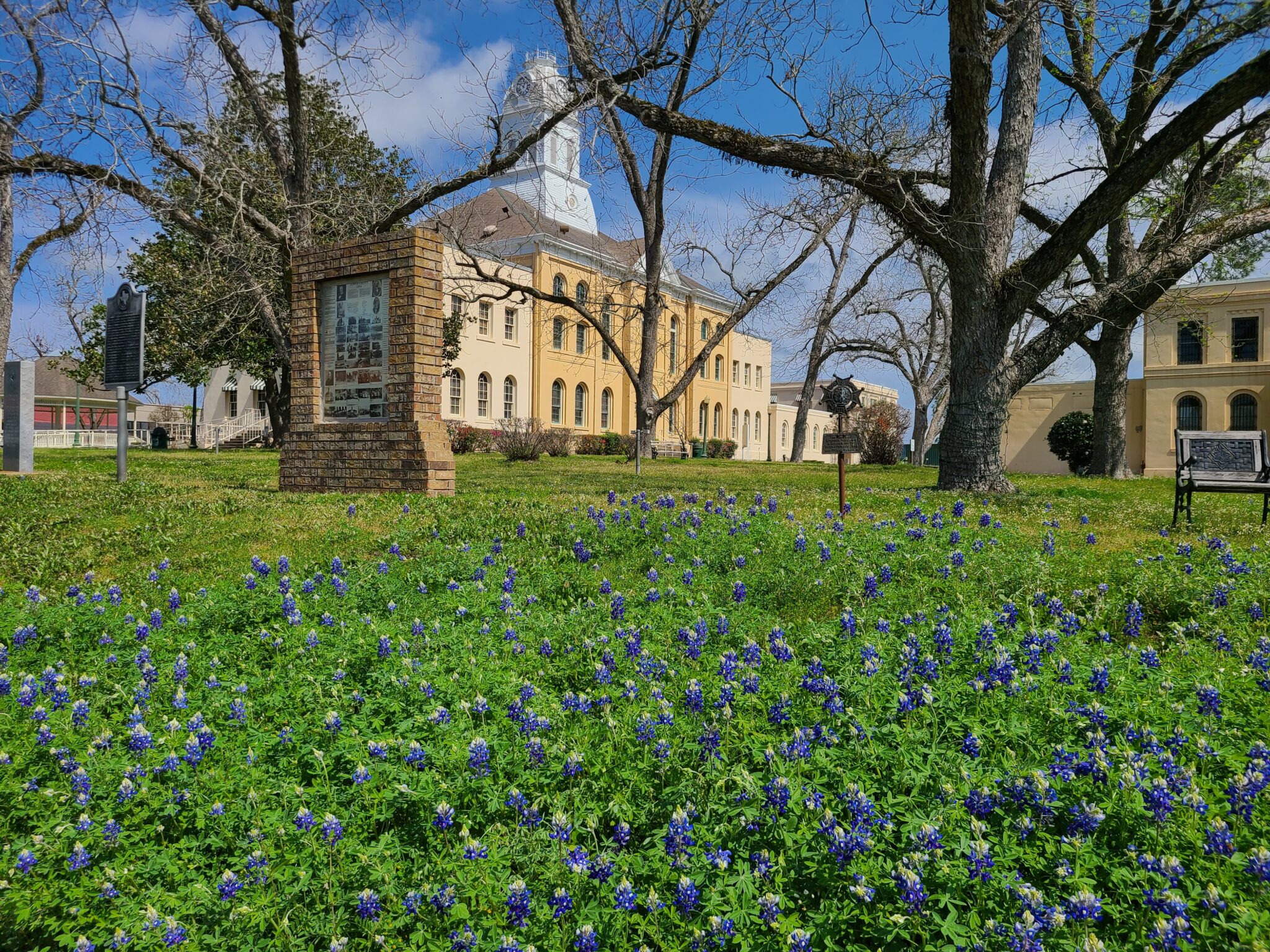 Dade Phelan's Efforts to Expand Healthcare Still Leave Many Struggling ...