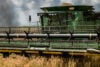 Left Out to Dry: How the Texas Rice Belt Could Vanish
