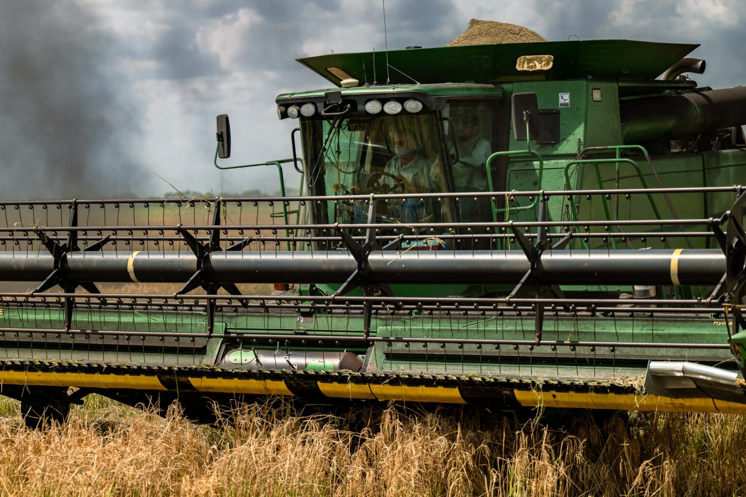Left Out to Dry: How the Texas Rice Belt Could Vanish