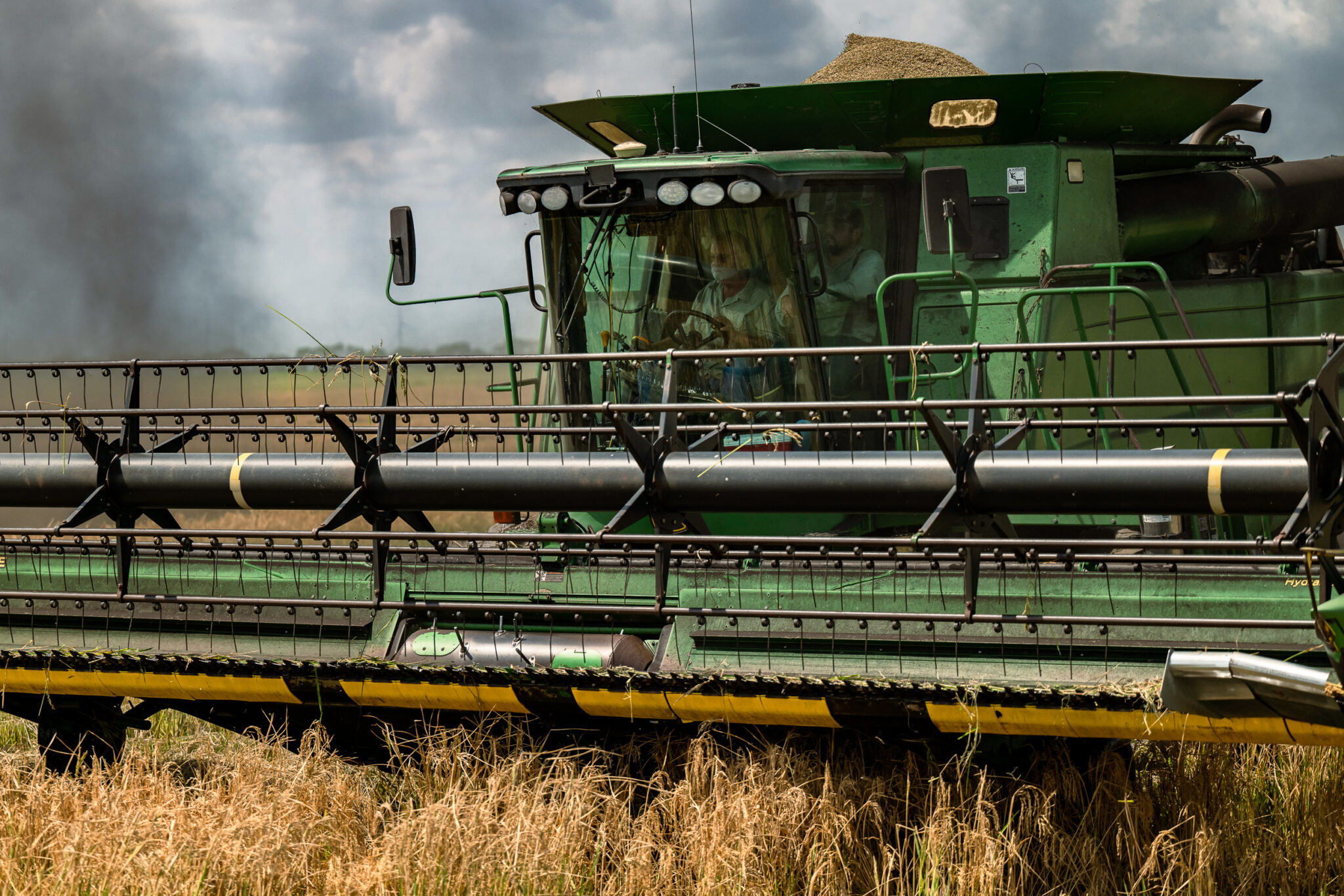 Left Out to Dry: How the Texas Rice Belt Could Vanish