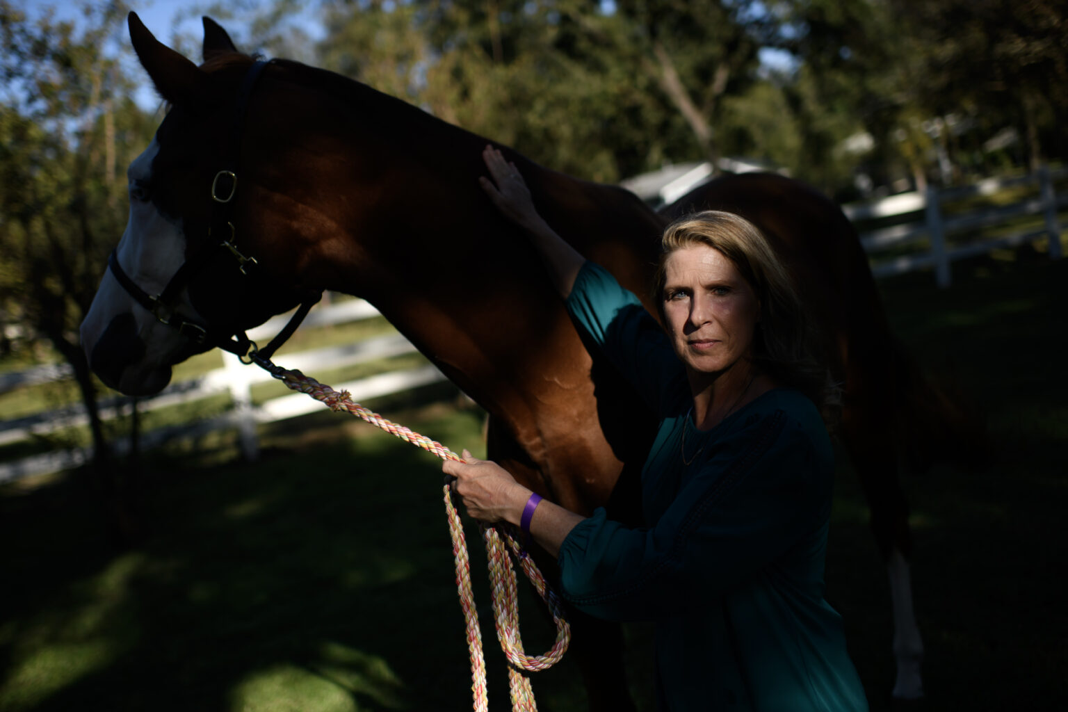 The Vet, the Cattle Prod, and the ‘Guttural Wail’