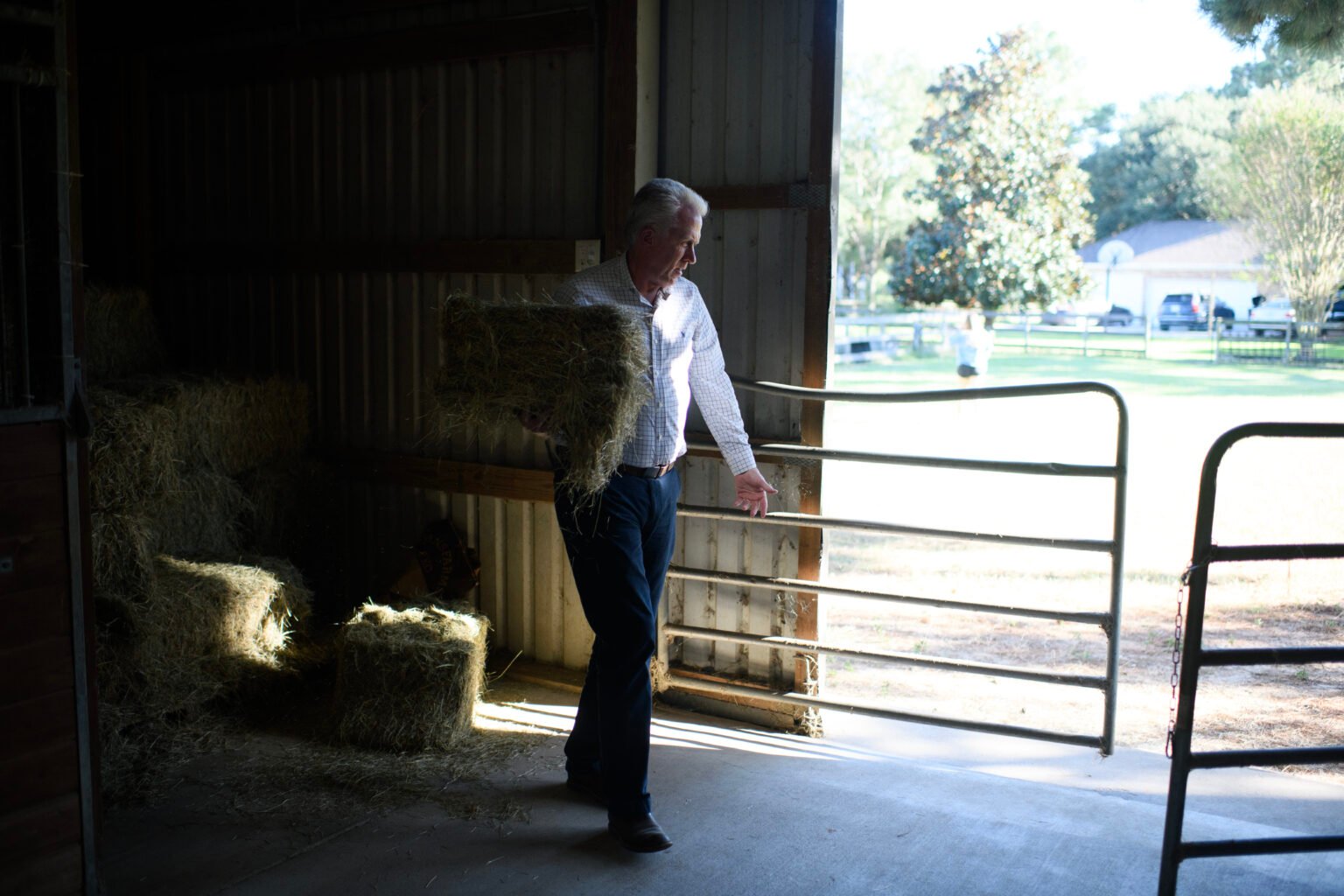 The Vet, the Cattle Prod, and the ‘Guttural Wail’